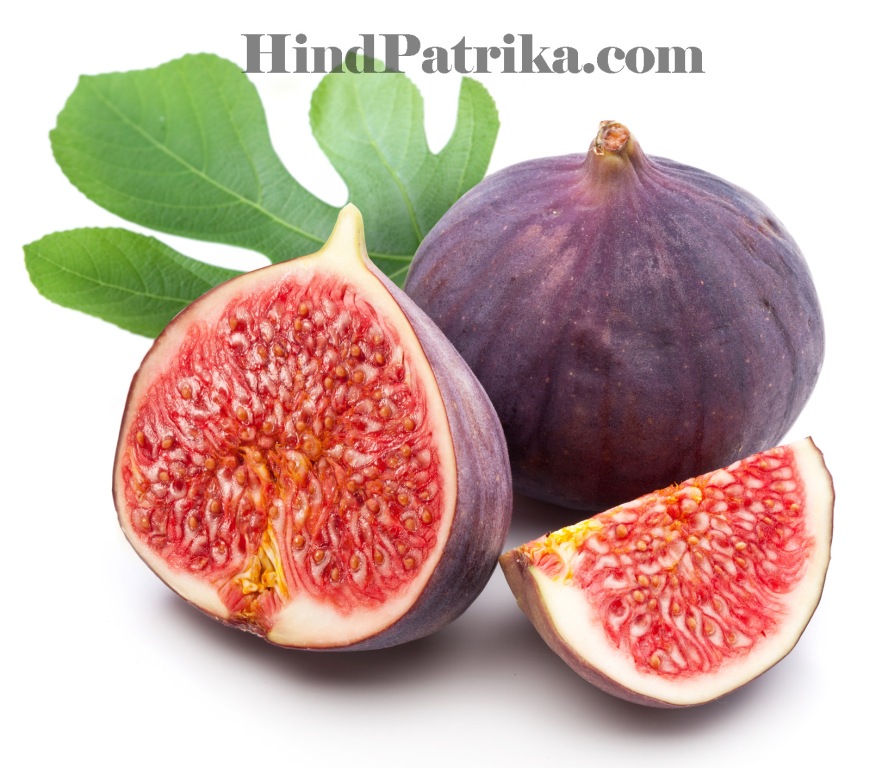 Fruits Name In Hindi Falo Ke Naam Hindi Aur Englih Mein HindPatrika