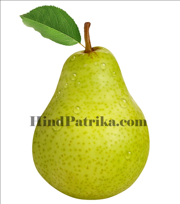 Fruits Name in Hindi | Falo Ke Naam Hindi Aur Englih Mein | HindPatrika